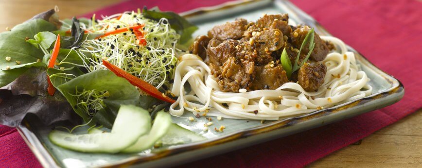 Vegetarian Japanese Teriyaki Seitan with Noodles - BERTYN